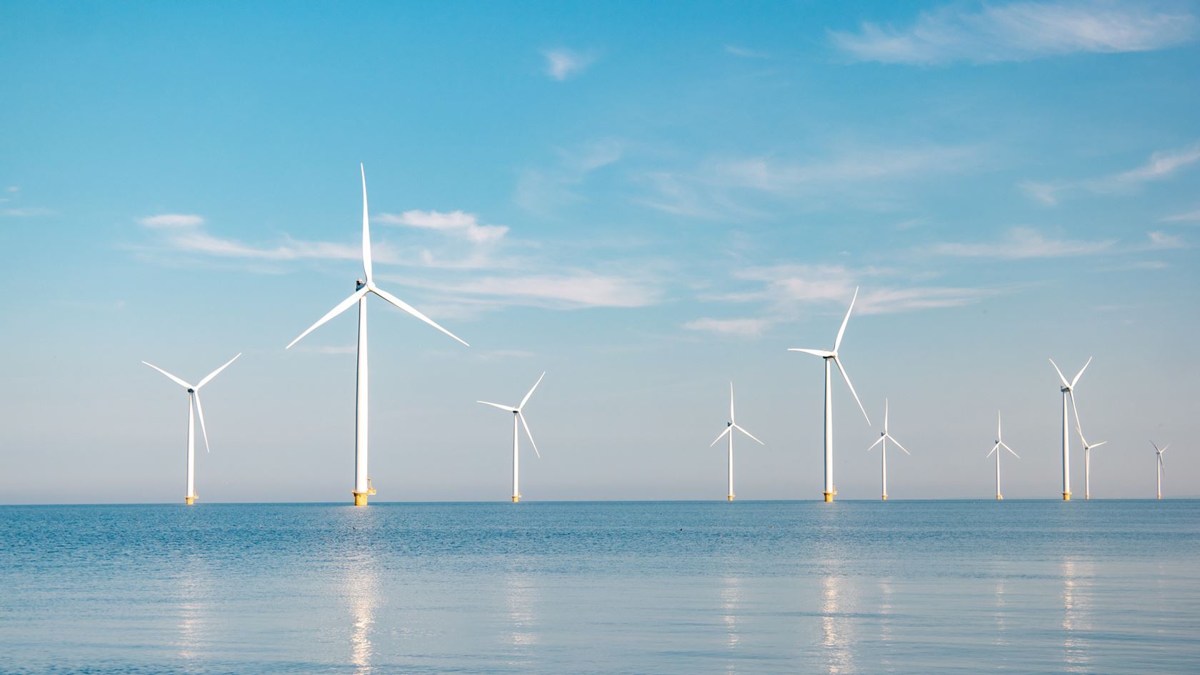 Nature inclusive design for Ecowende wind farm | Haskoning