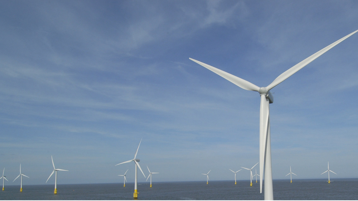 Offshore wind farm project for Eneco | Haskoning