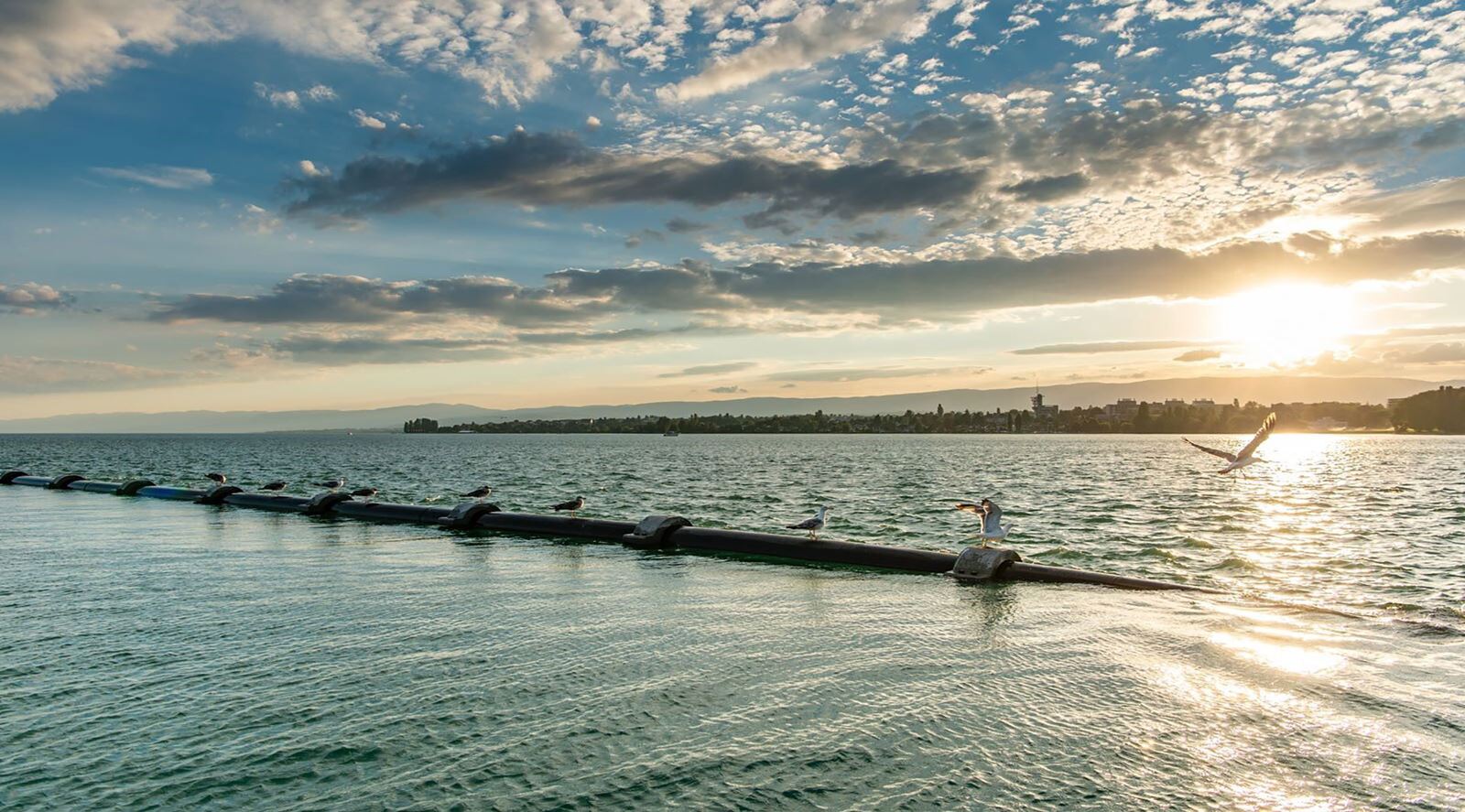 Lake Geneva intake and outfall design | Haskoning