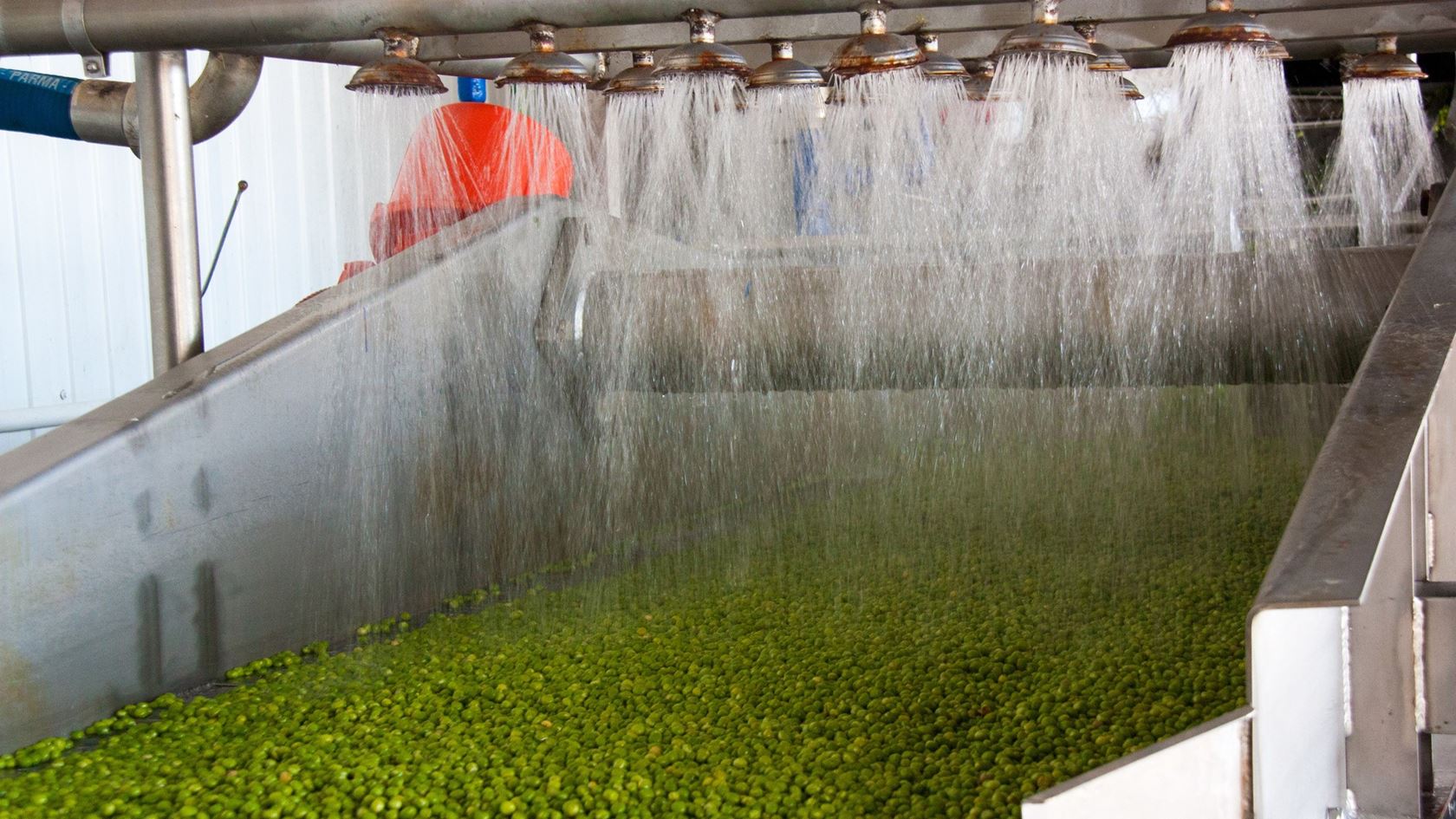 Water risk assessment for a global food company | Haskoning