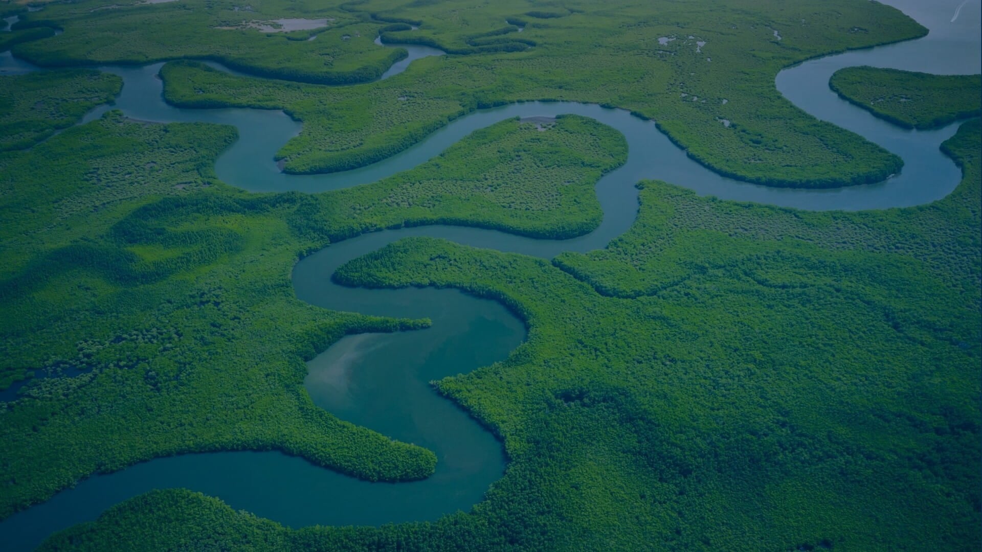 Nature-Based Solutions | Haskoning