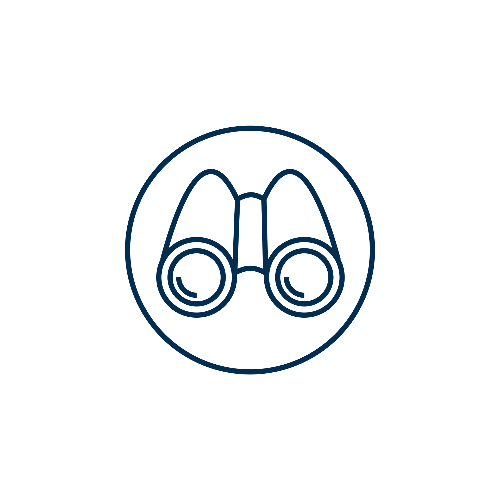 Predictive Simulation Suite | Haskoning