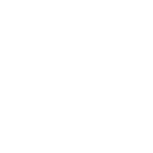 Witness Simulation Modelling Software | Haskoning