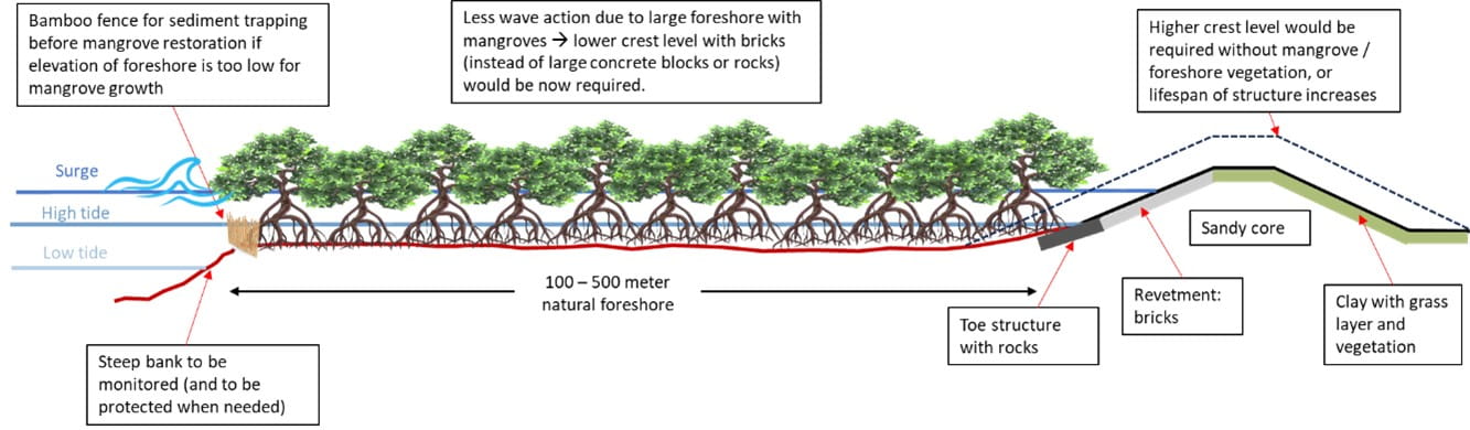 Nature-based solutions can reduce coastal protection costs | Haskoning