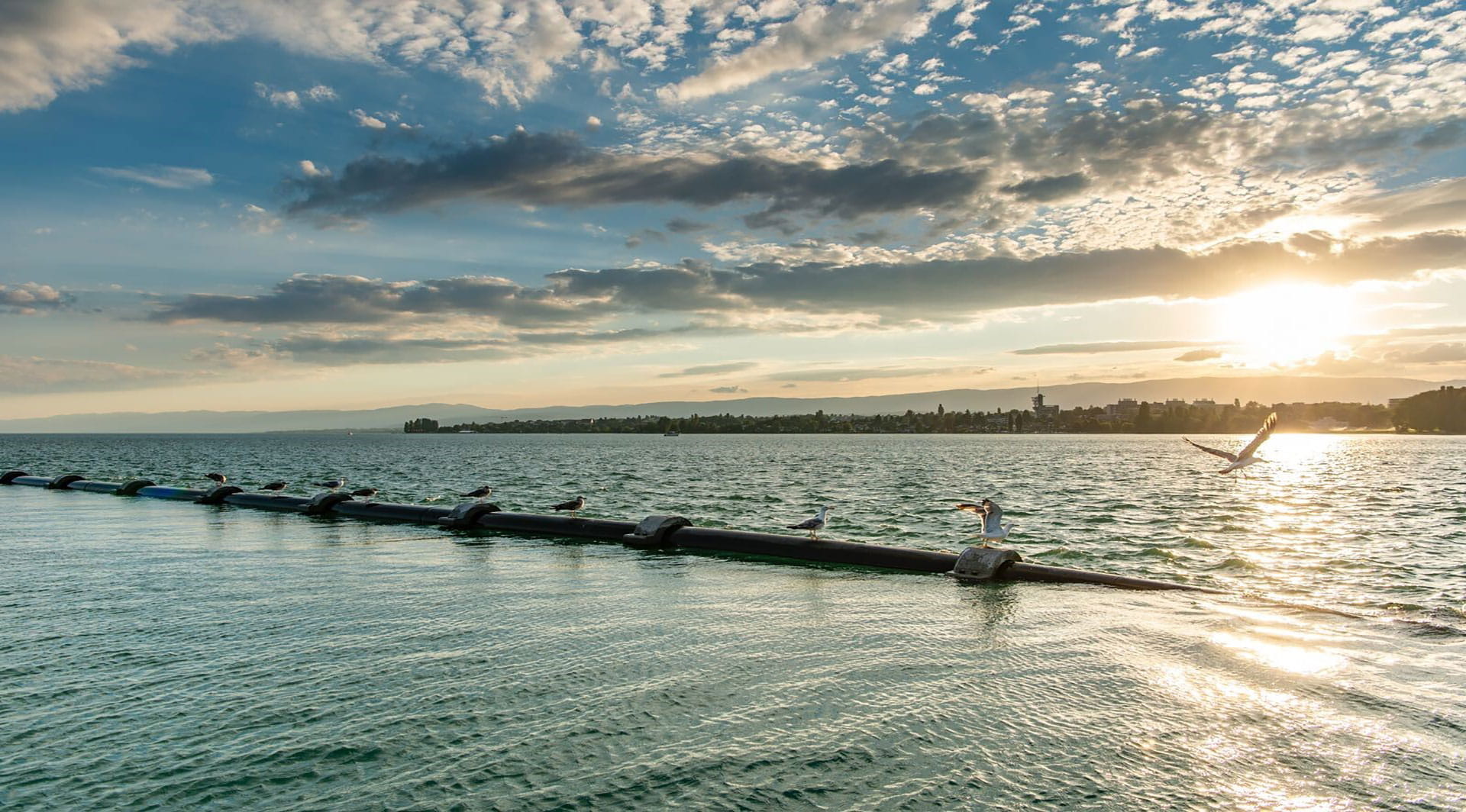 Lake Geneva intake and outfall design | Haskoning